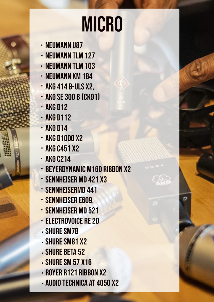 micro point • Shaman Studio